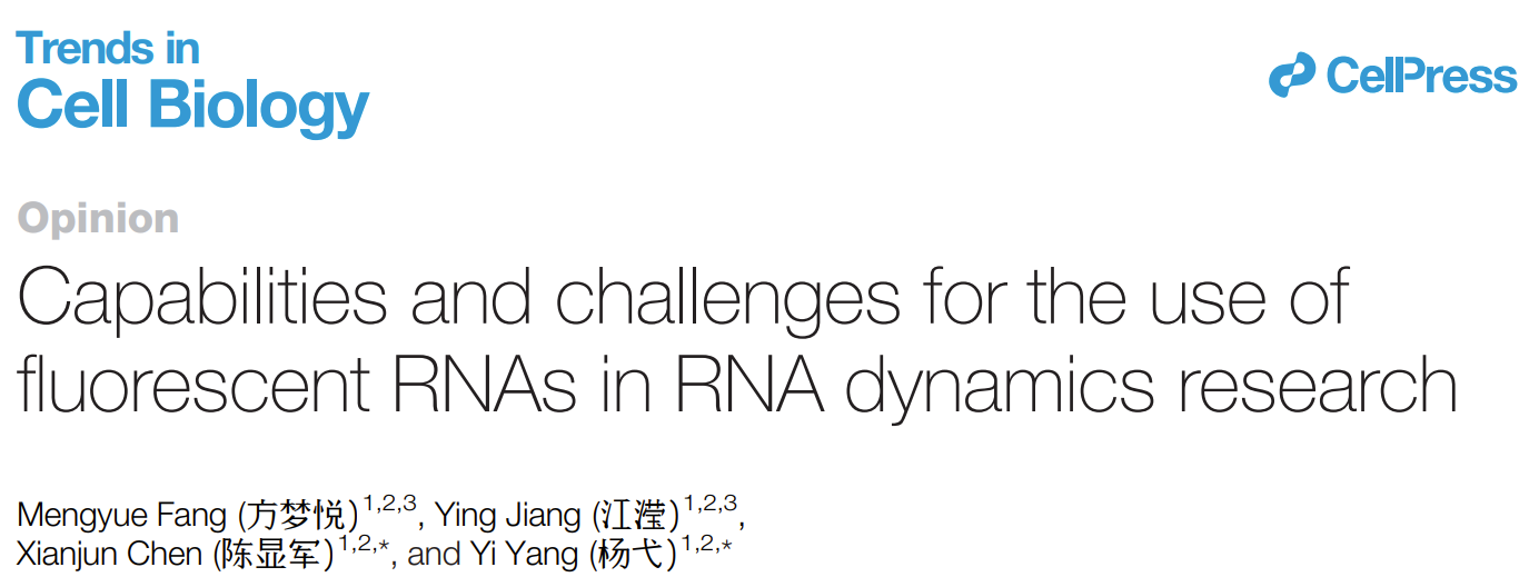 【创新前沿】Trends in Cell Biology发表我校对荧光RNA技术在RNA动态研究应用前景的观点文章