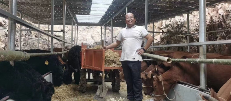 《新民晚报》关注大学生就业｜从沪上“白领”到田间“牛司令”的华丽转身